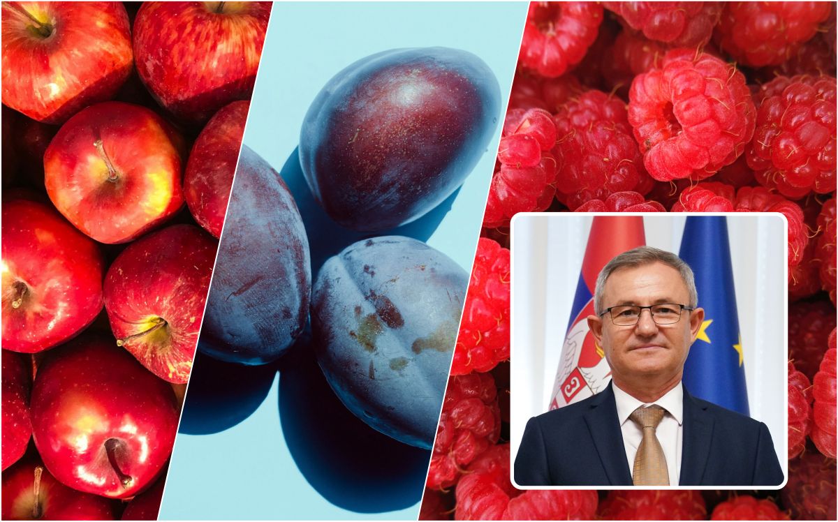 ŠLJIVA JE SIMBOL SRBIJE: Ministar Glamočić posetio Osečinu - TV Palma Plus