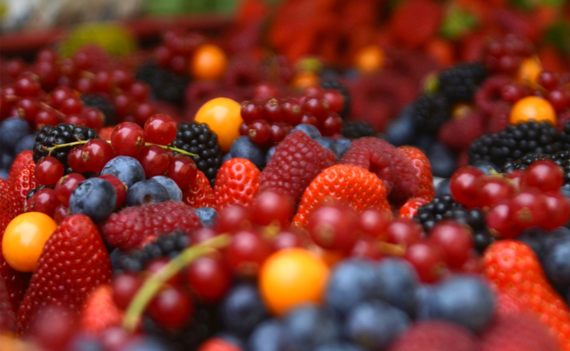 BEOGRADSKO SAJMIŠTE: Sajam Agro Belgrade krajem januara - TV Palma Plus